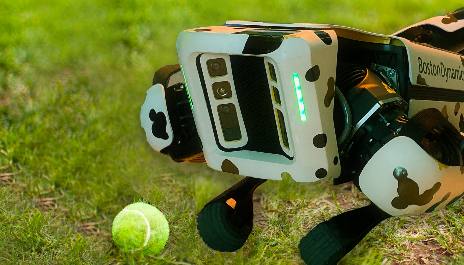 Meet FLINT the Robo-Dog | Boston Dynamics Robot at TELUS Spark Calgary