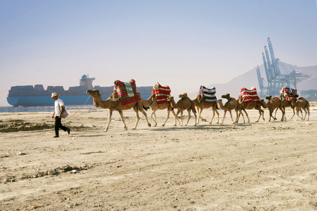 APM Terminals Tanger Med 2 - The Project: N4 migration