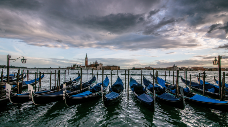 NAVIS N4 is live in Venice!