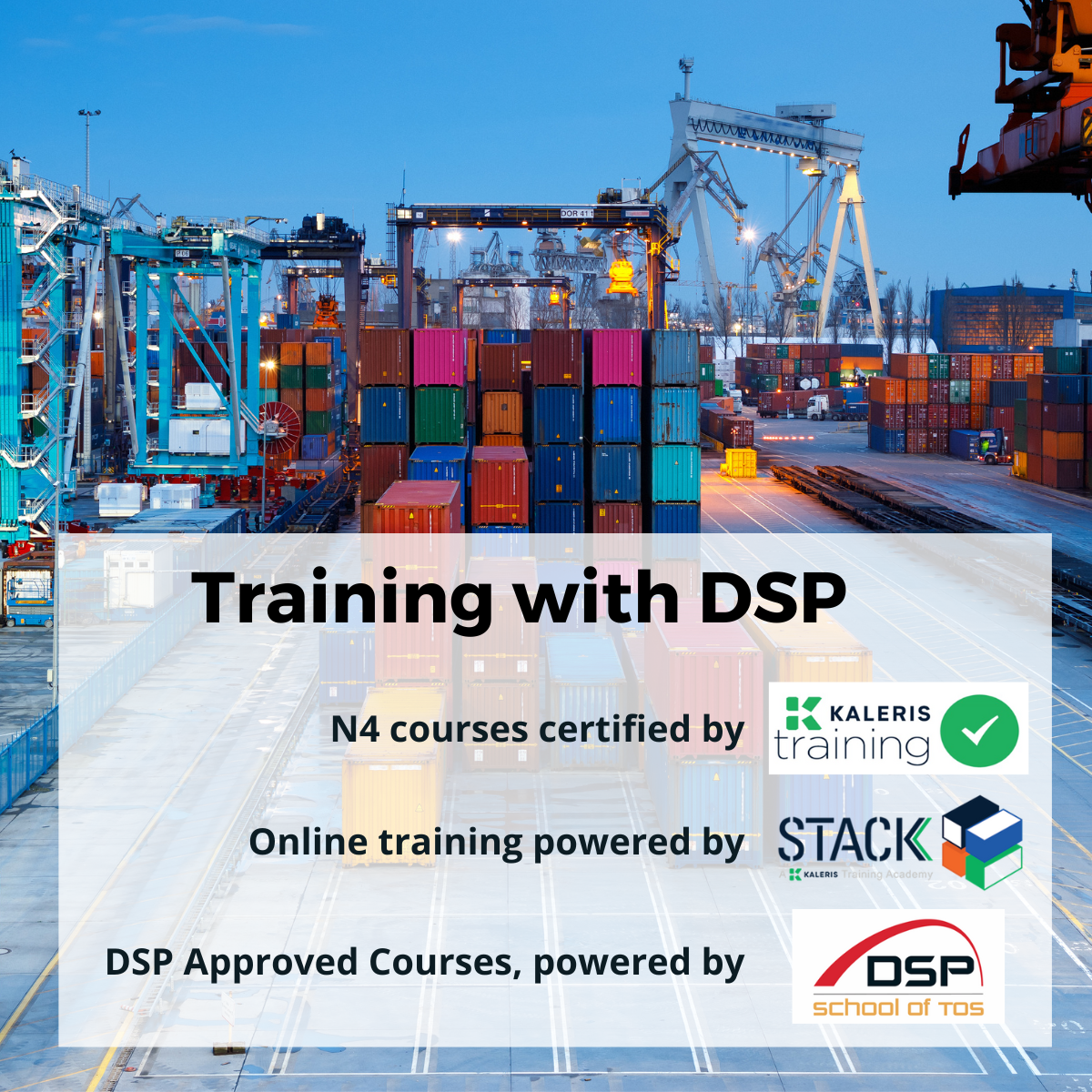 DSP | Technological company in the Ports & Terminals industry