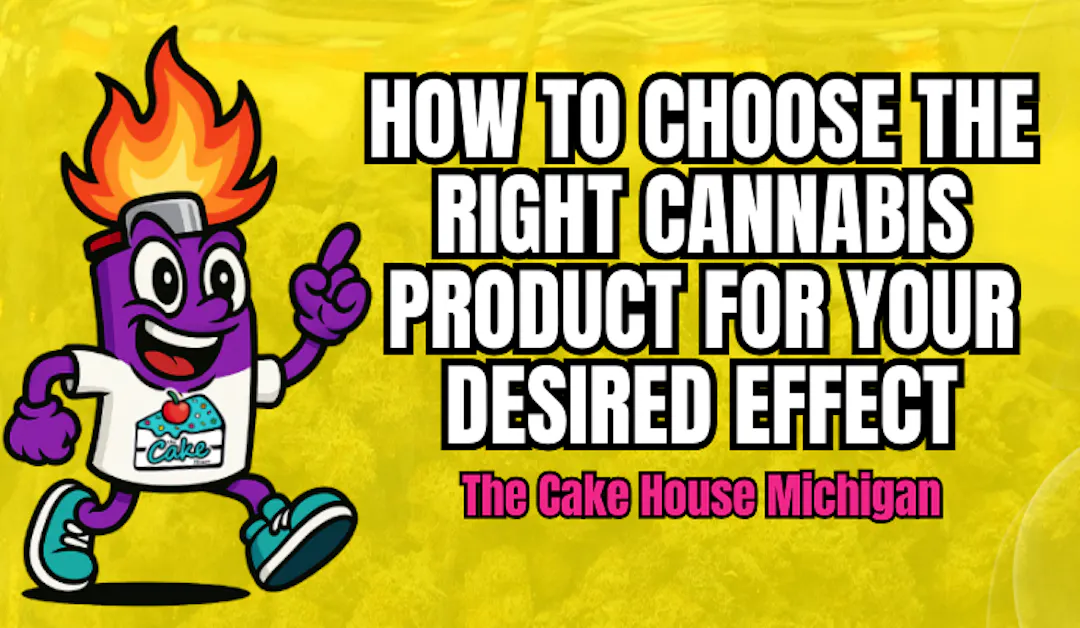 Cannabis Concentrate Textures Explained: Badder vs Budder vs Sauce vs ...