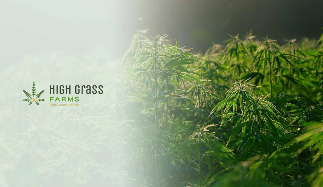 Brand Spotlight: High Grass Farms | The Jersey Joint