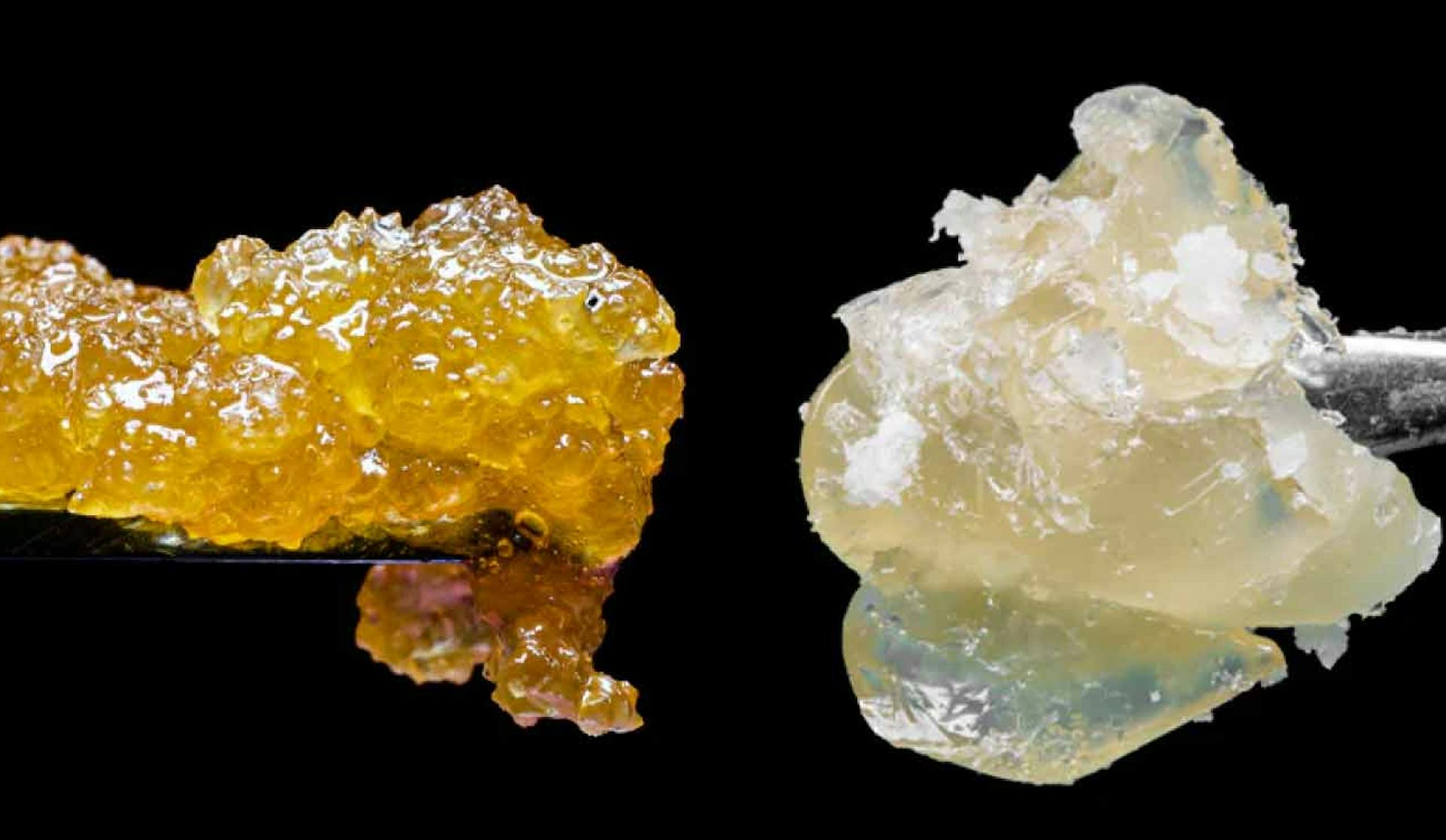 Cannabis Resin Explained | The Jersey Joint