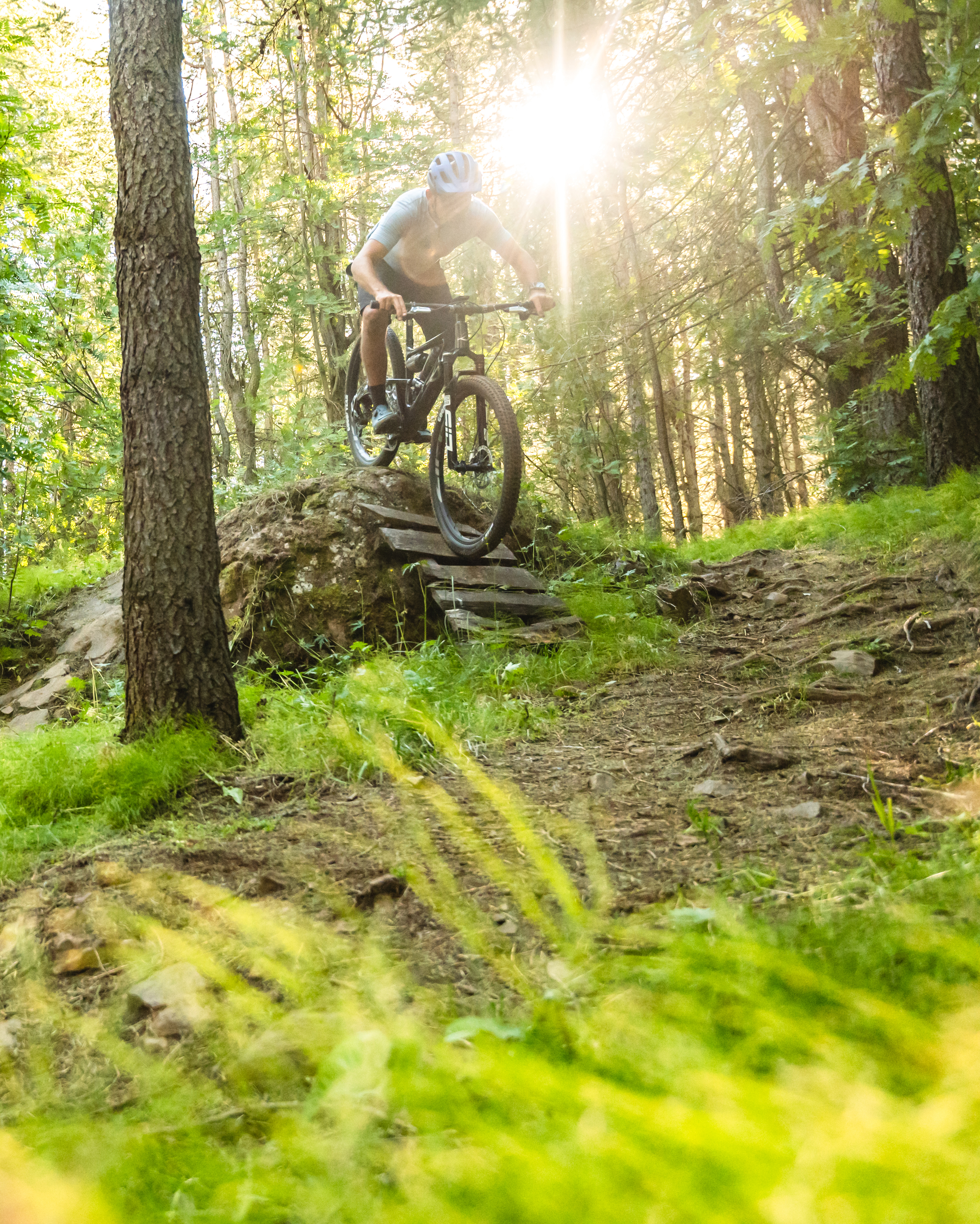 The Rift MTB - The Rift