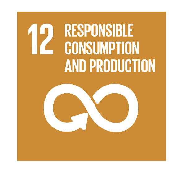 Questionmark and the Sustainable Development Goals (SDG’s)