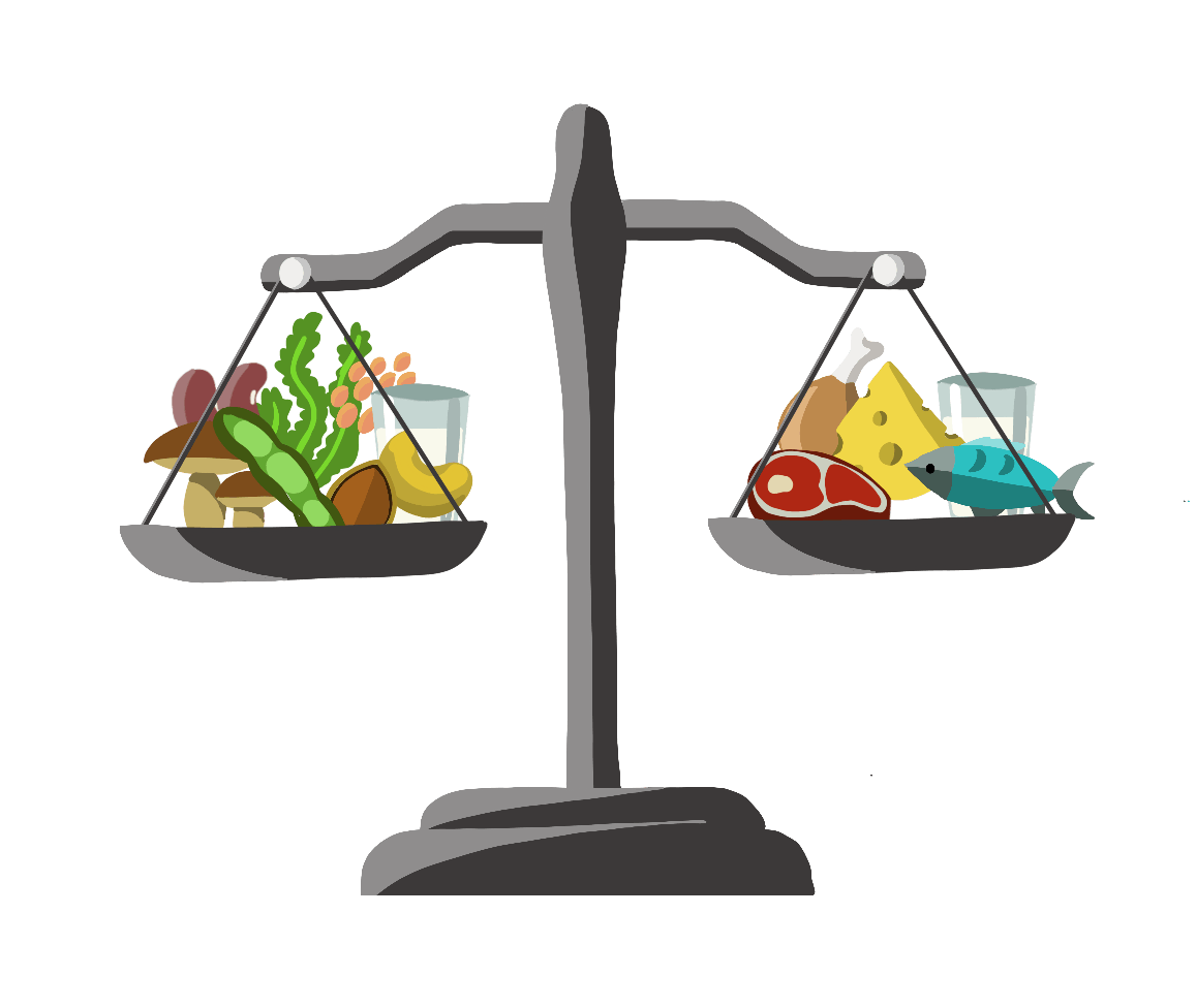 Monitor protein transition | Questionmark Foundation