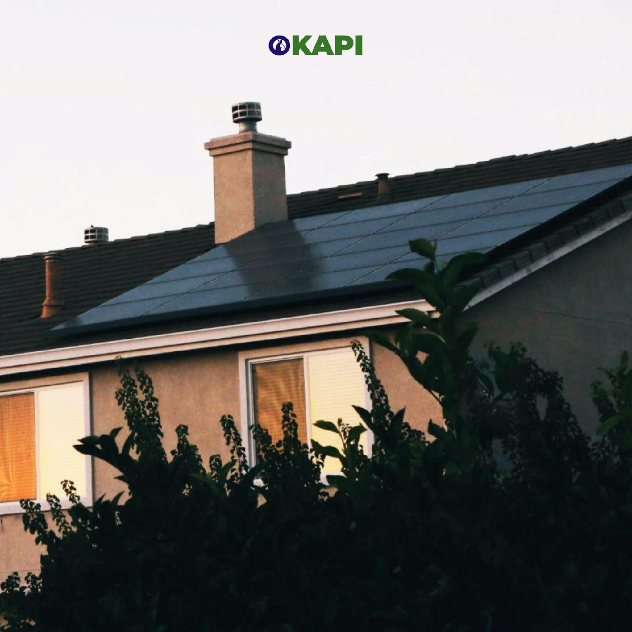 Portfolio - The Radical Fund