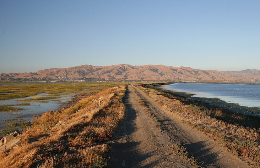 Alviso San Jose