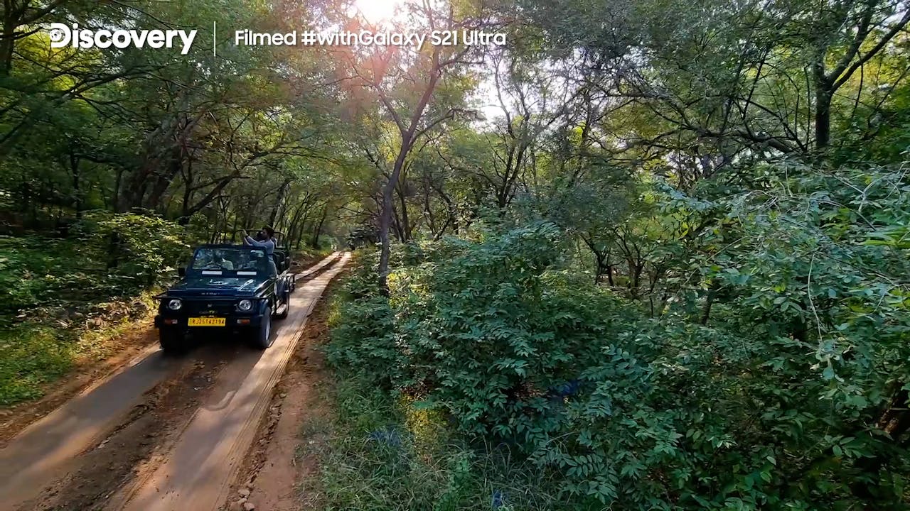 Project CAT 'Behind the Scenes' | Think Make Create