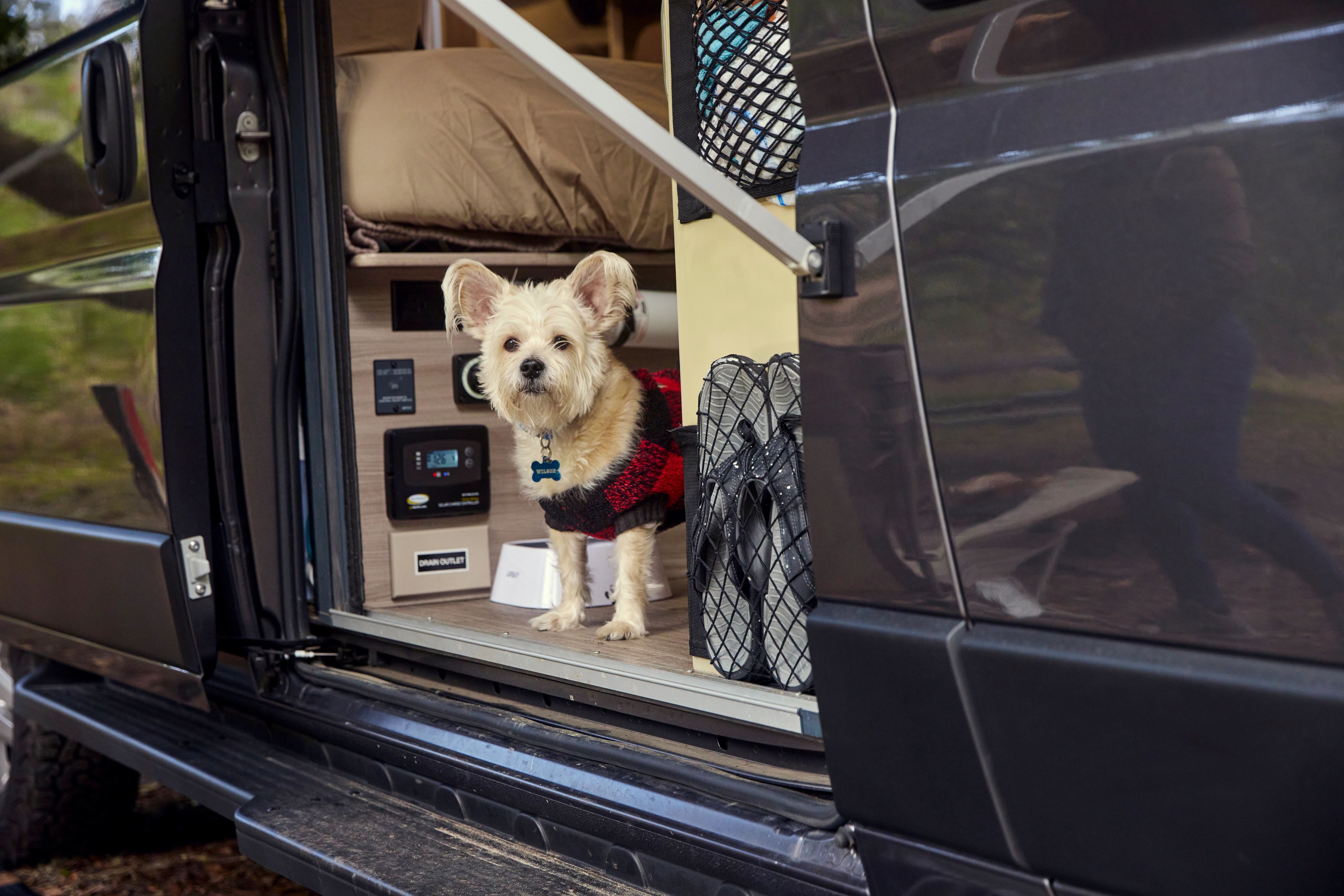 WATCH: Why We RV With Pets - THOR Industries
