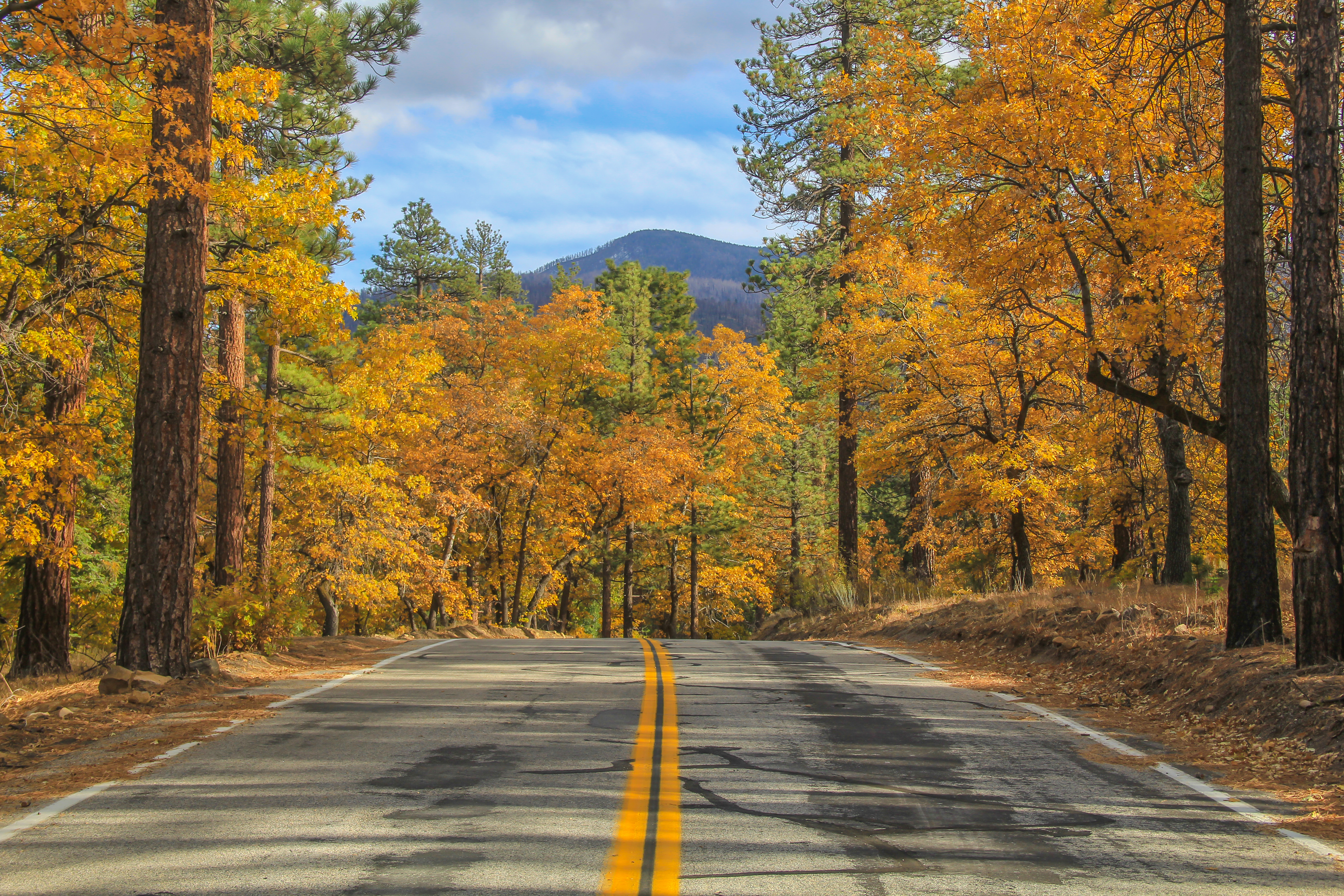 The Nine Best National Forest Destinations for Fall Foliage - THOR ...