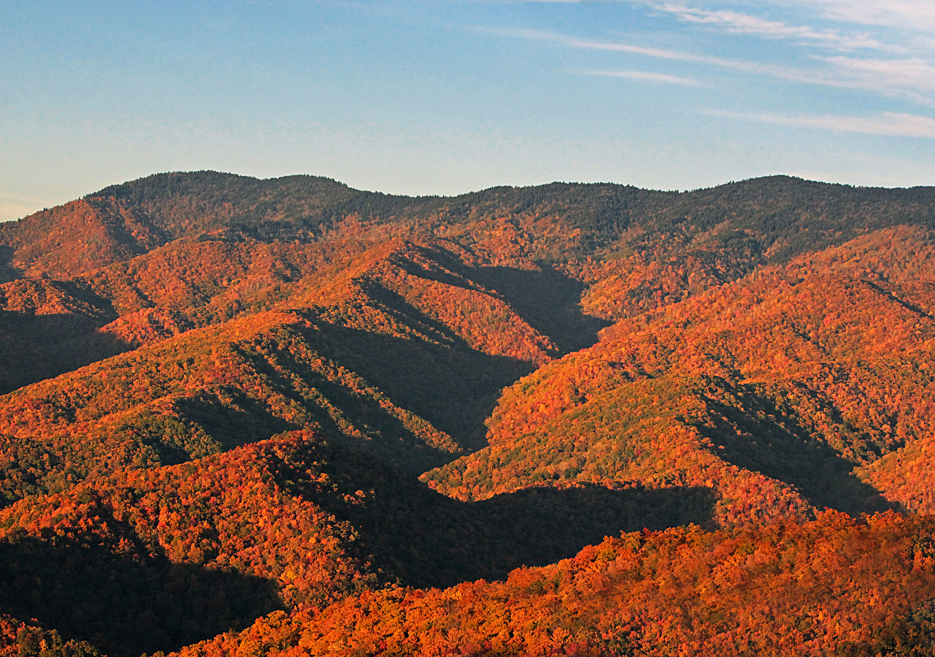 The Nine Best National Forest Destinations for Fall Foliage - THOR ...