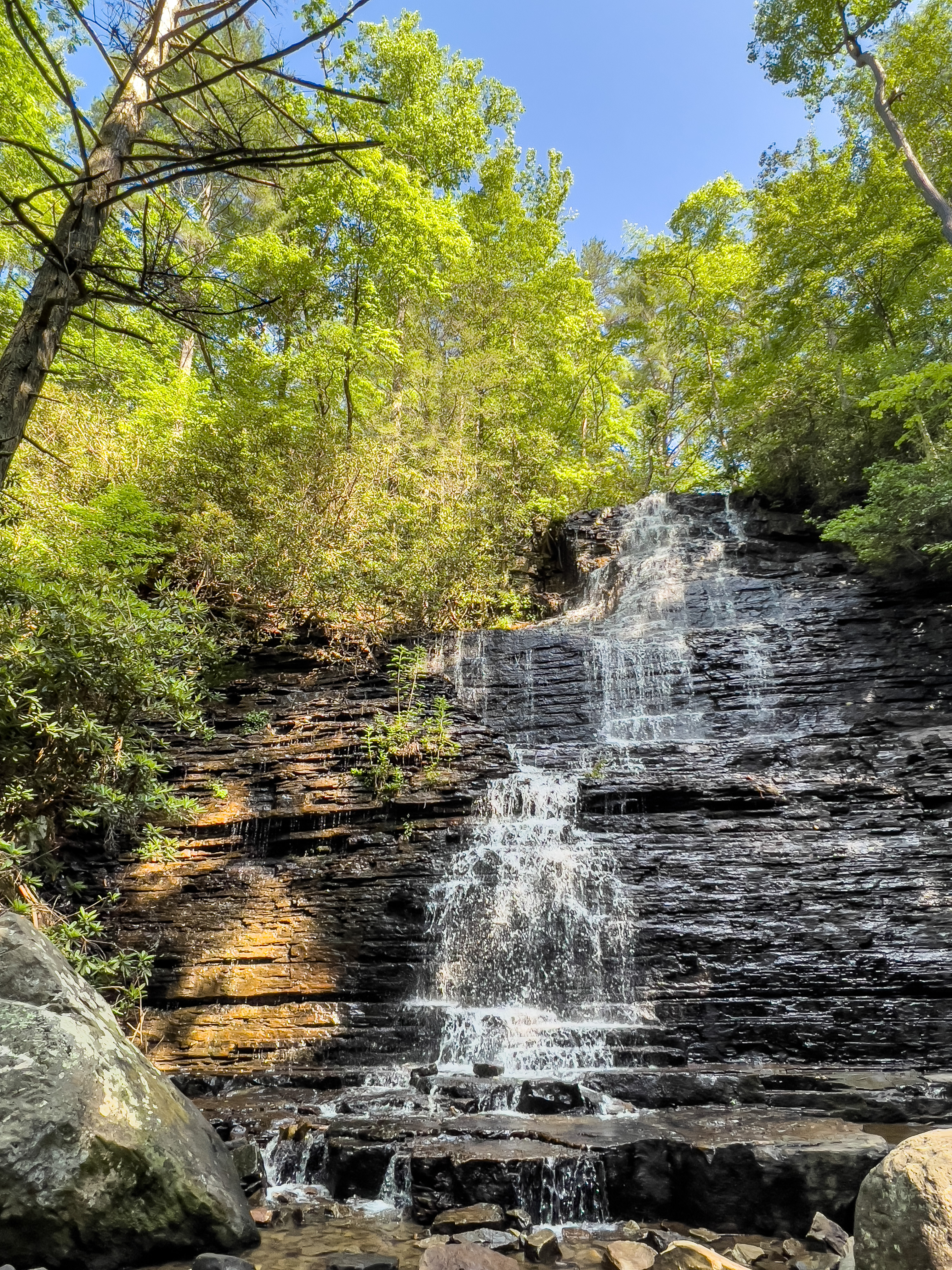 An RVer’s Guide to Cherokee National Forest in Tennessee - THOR Industries