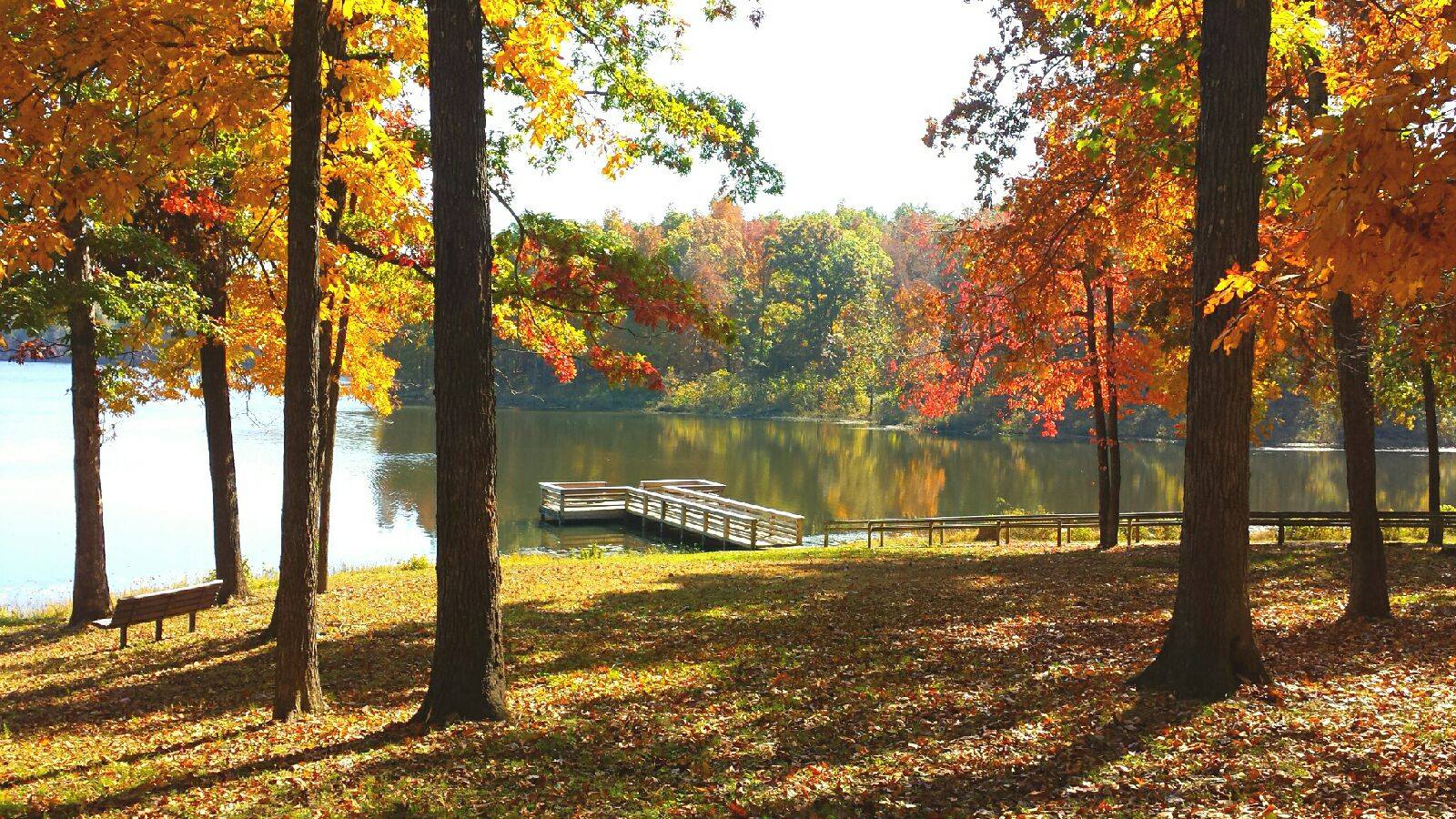 RV Travel Guide — Camping in Mark Twain National Forest - THOR Industries