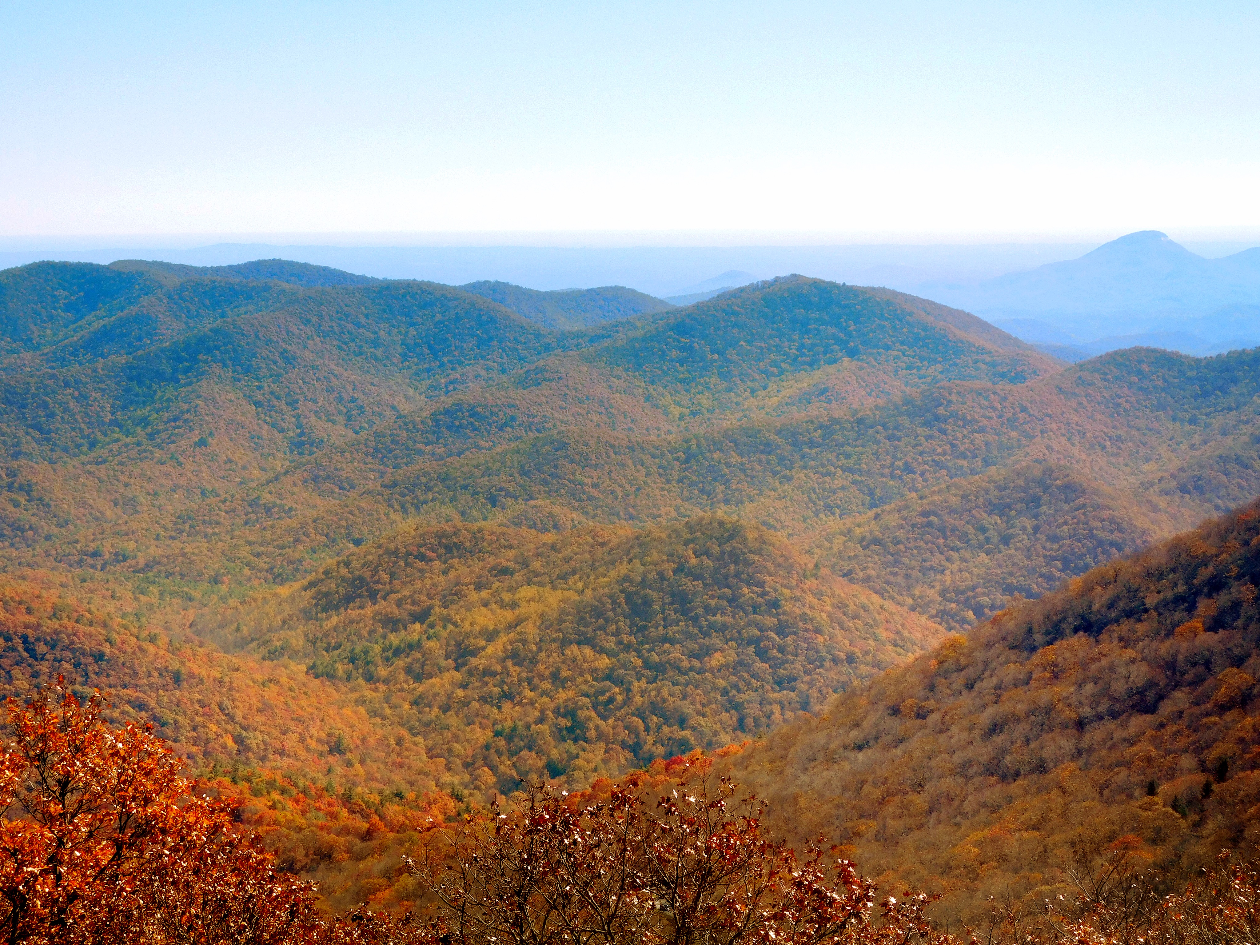 The Nine Best National Forest Destinations for Fall Foliage - THOR ...