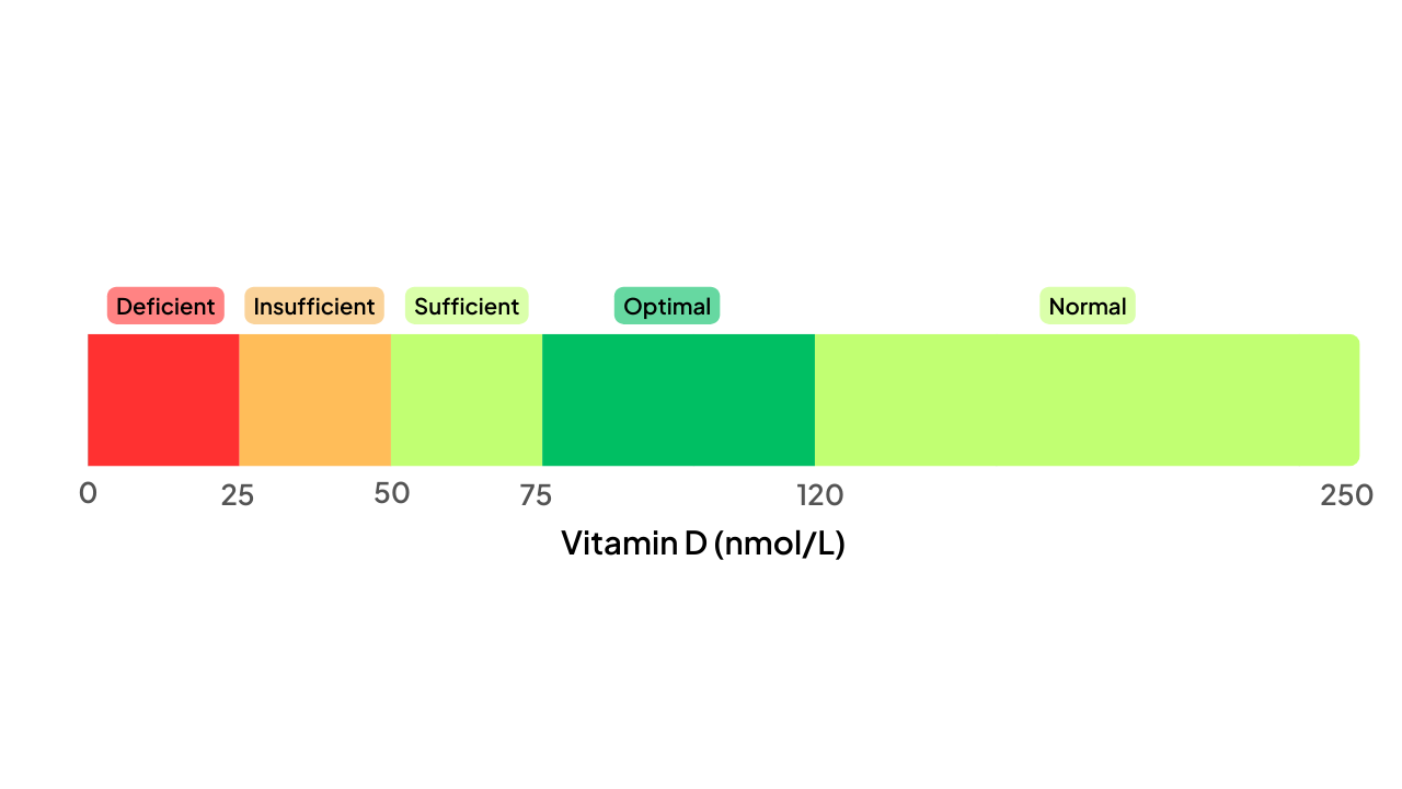 Exploring Vitamin D Levels in Winter