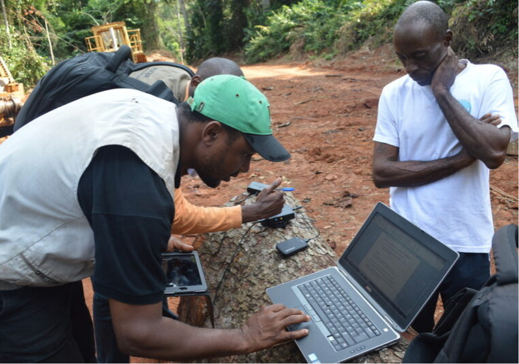 How your ticket sales have helped prevent illegal rainforest logging in ...