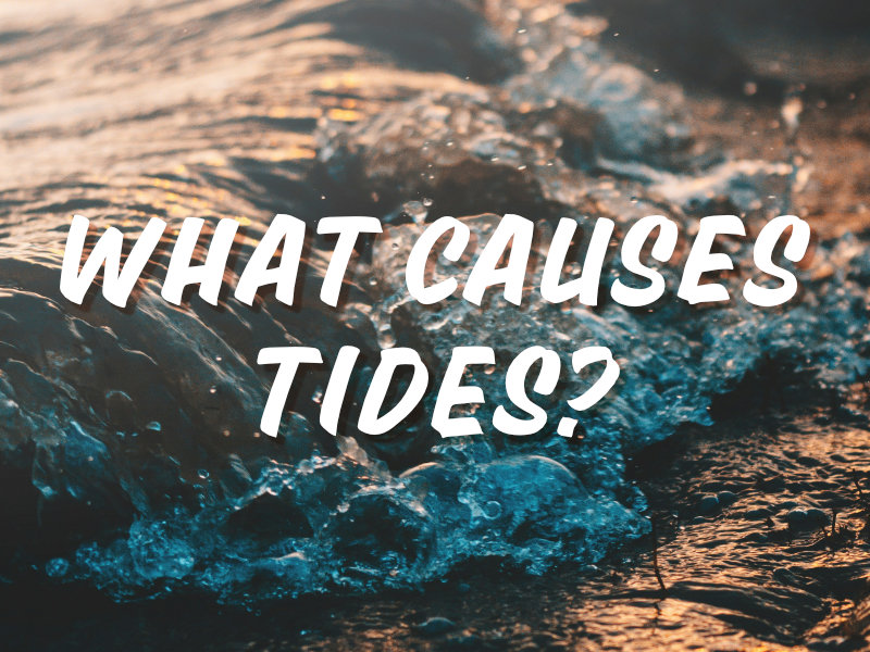 What causes tides?