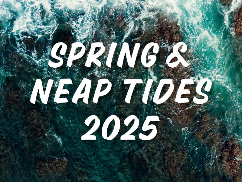 Spring and Neap tides 2025