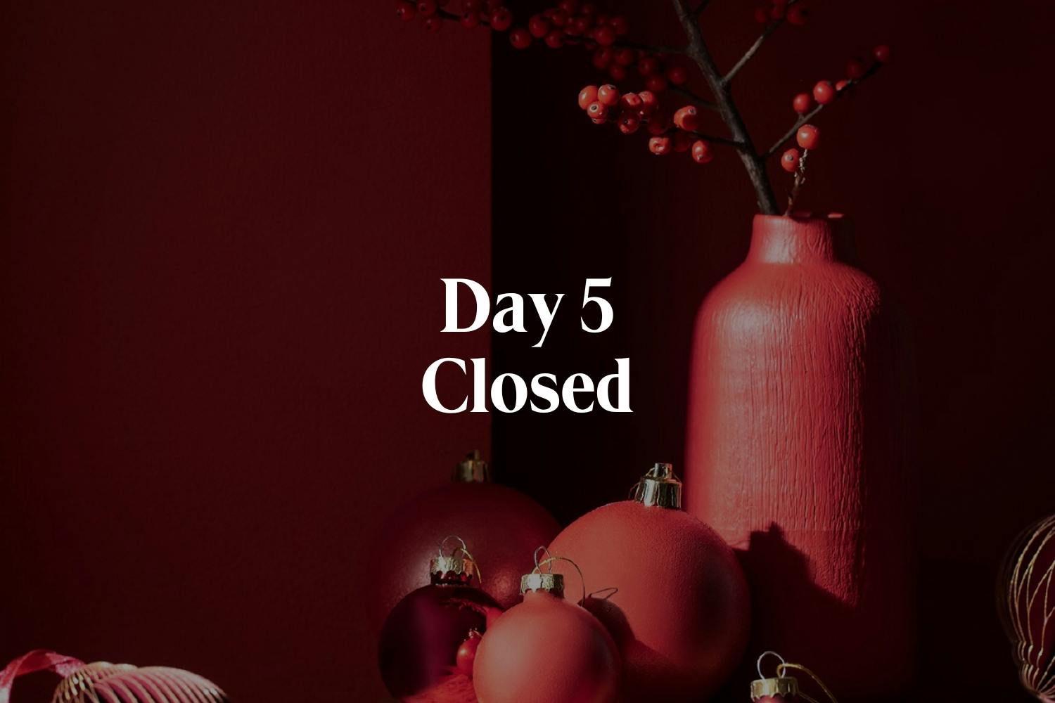 12 Days of Christmas - Day 5