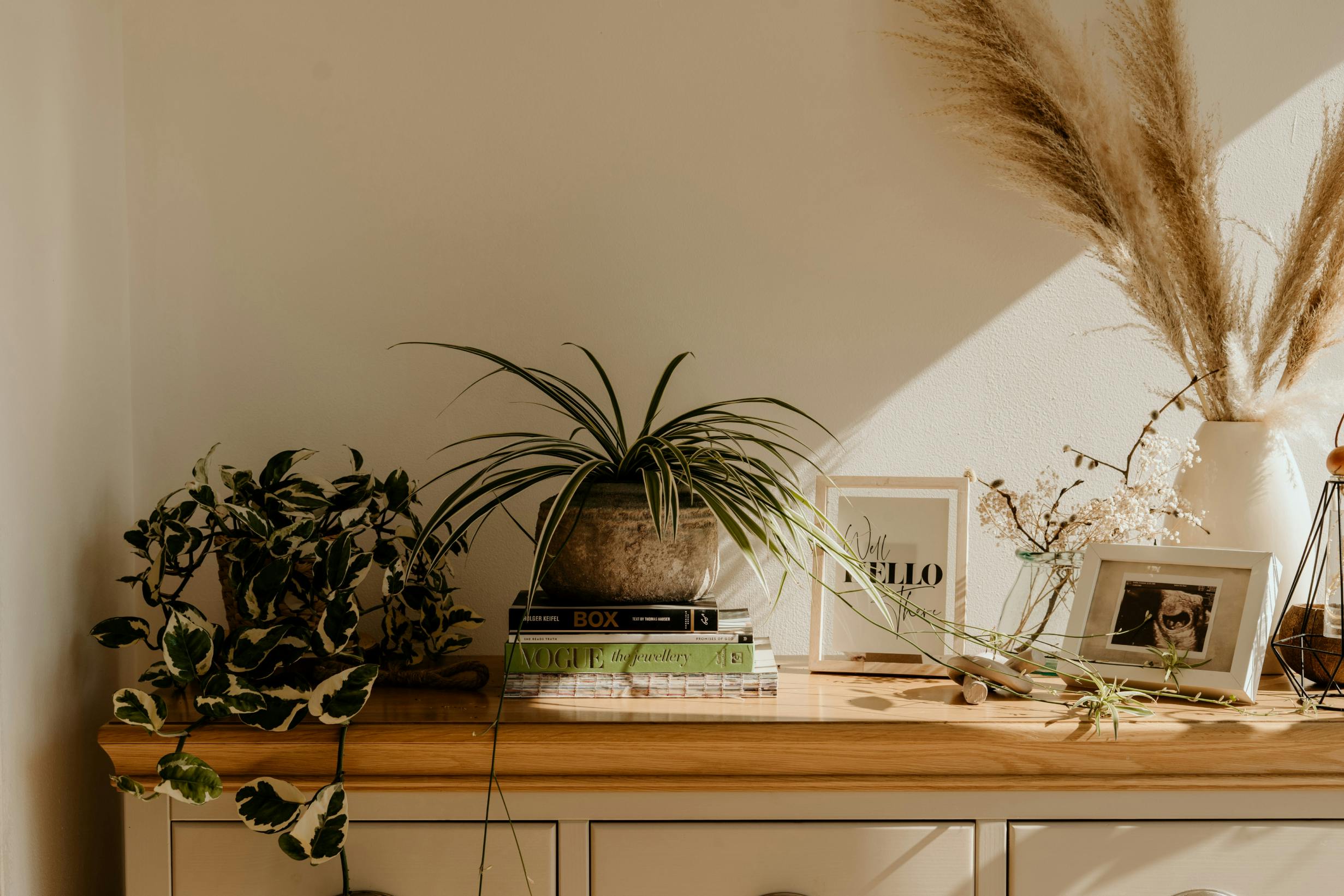 Earthy Paint Colours