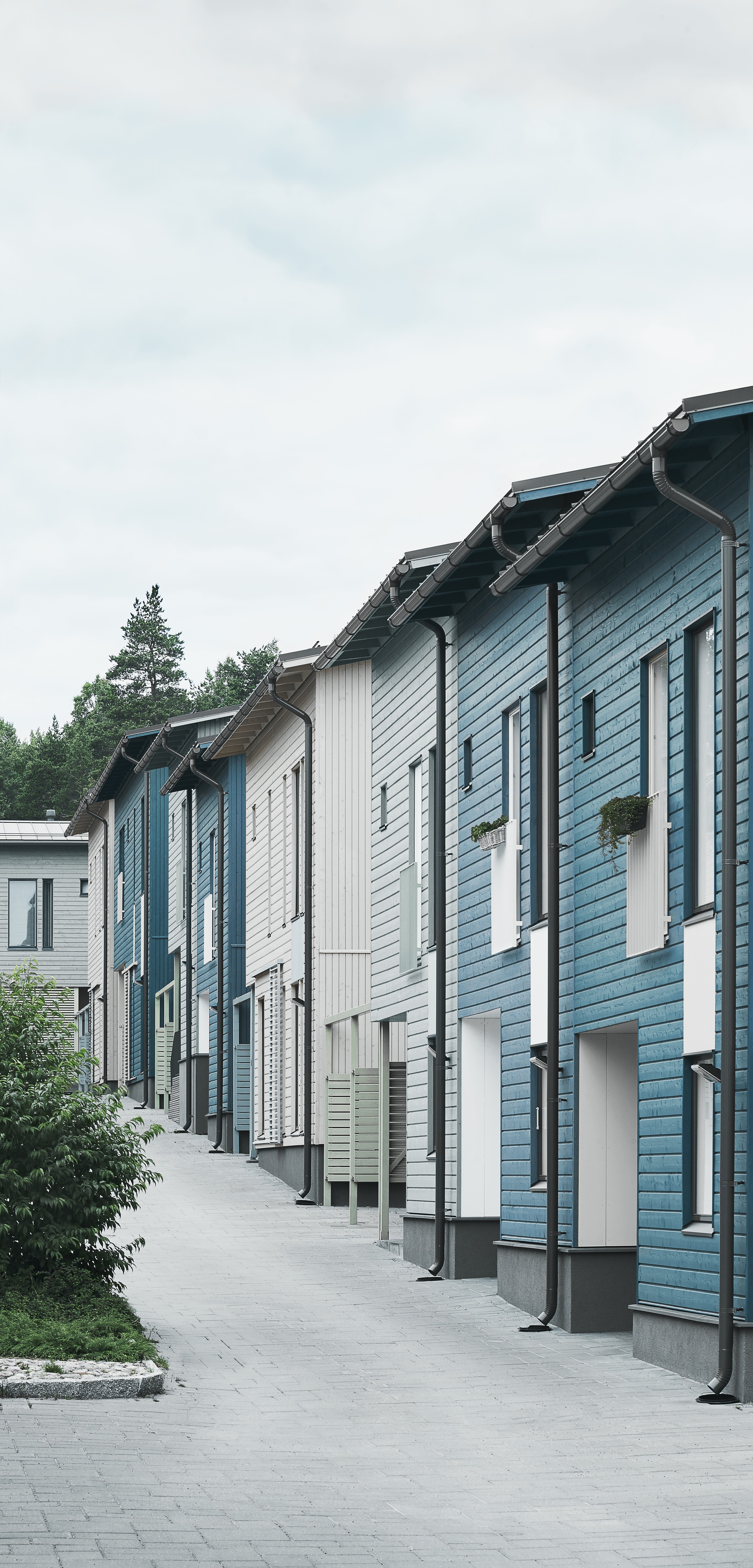 Paint Inspiration | Tikkurila