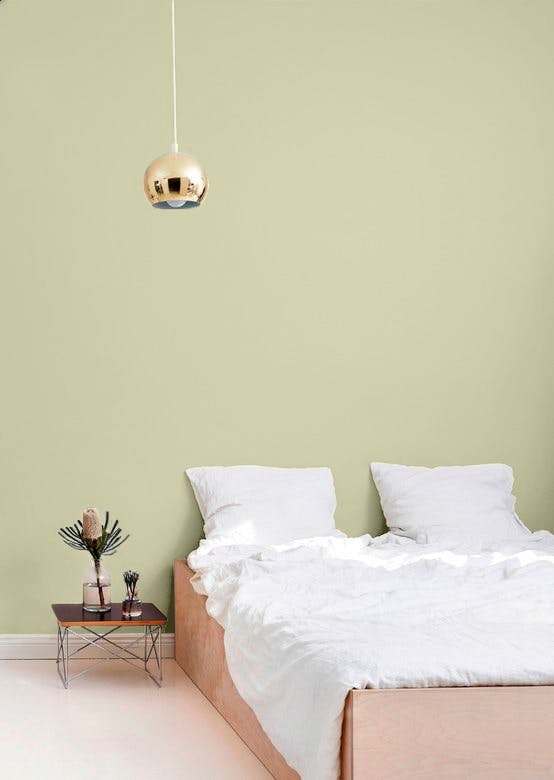 Olive Paint Colours