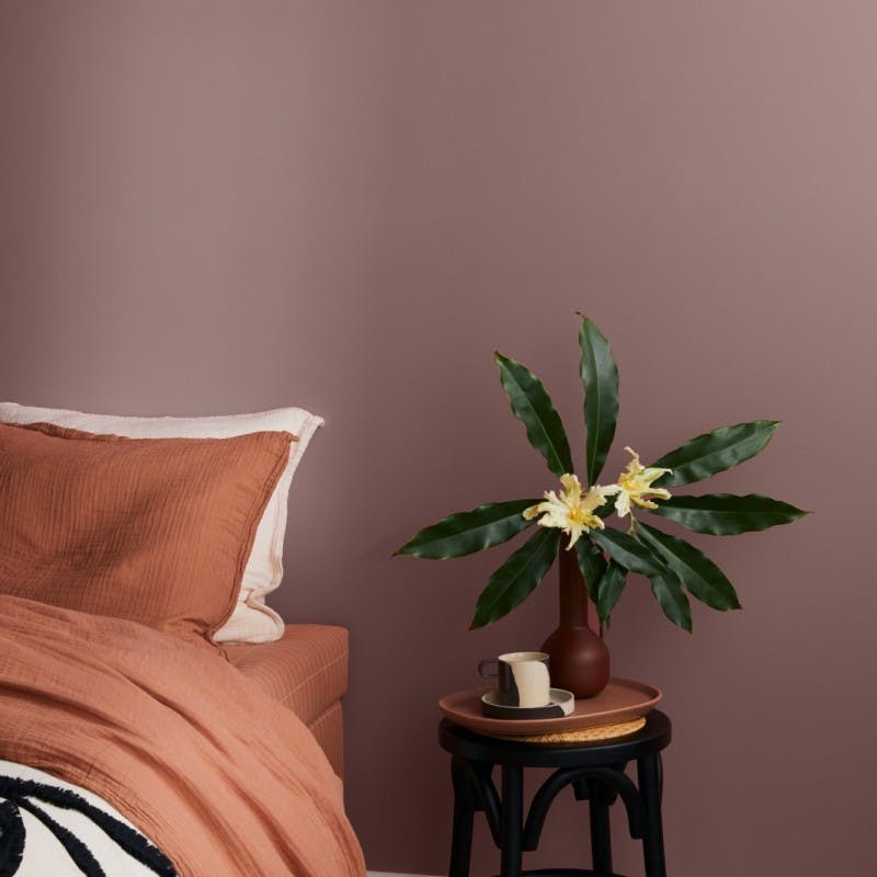 Dusky Purple Paint Colours