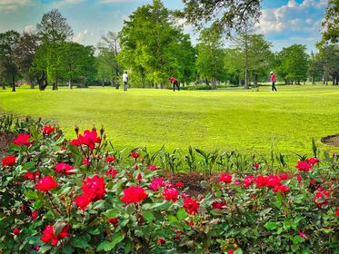 Photo Gallery | Timberlane Golf & Rec