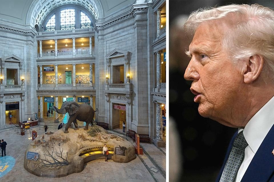 Trump voert ideologische zuivering door in wereldberoemd Smithsonian
