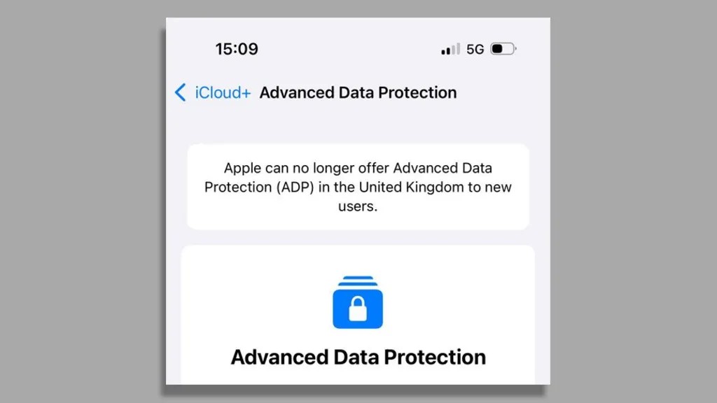 Apple pulls data protection tool after UK government security row