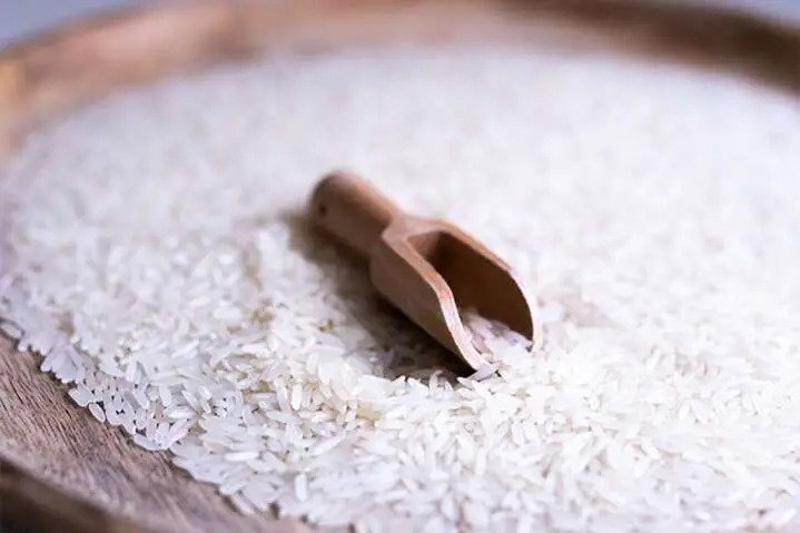 Guyana expecting nine million bags of paddy for 2025 first crop