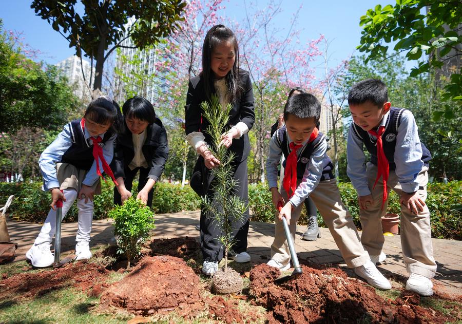 China plants nearly 4.45 million hectares of forest in 2024
