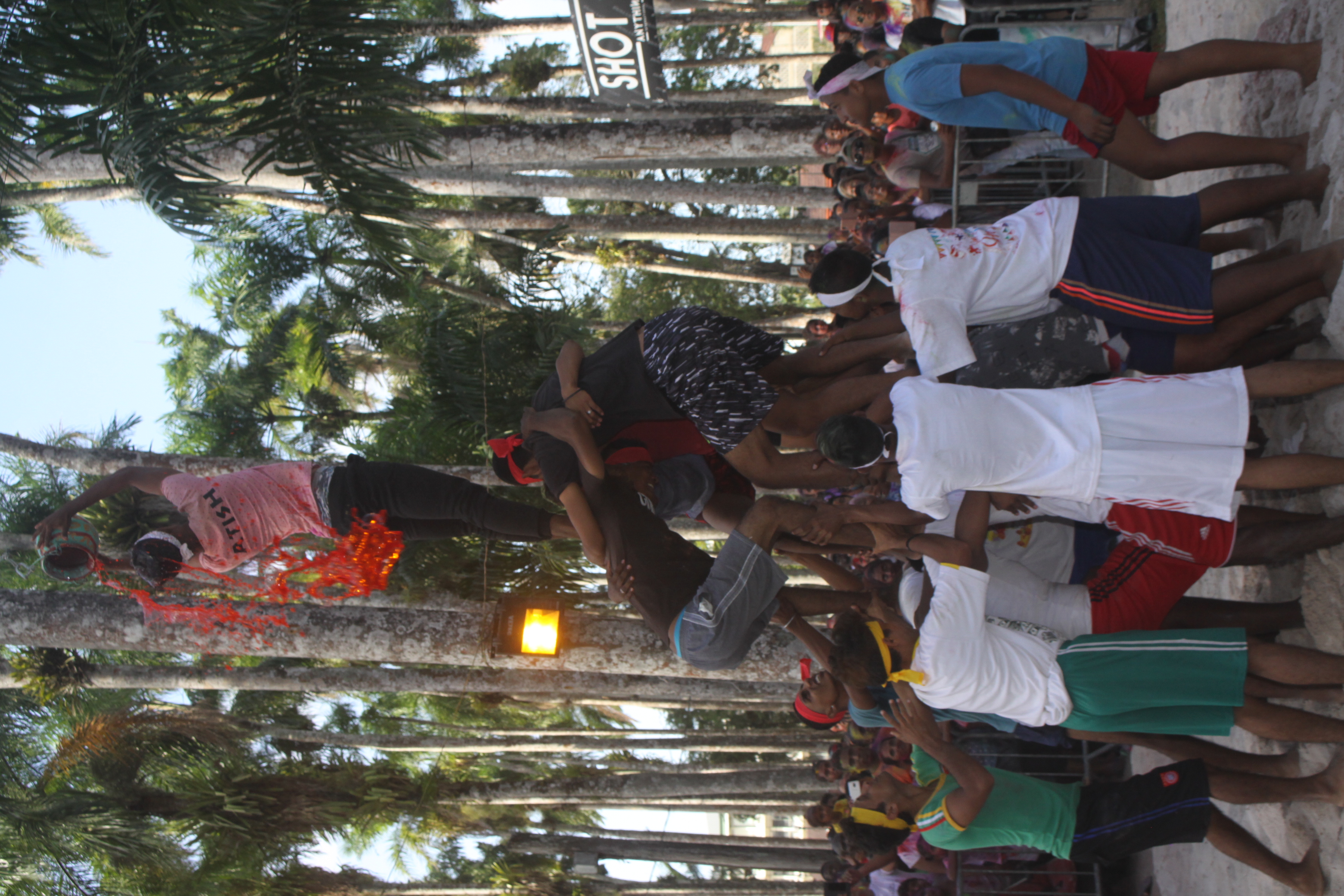 Phagwa ‘Makhan Chor’ Festival in Palmentuin