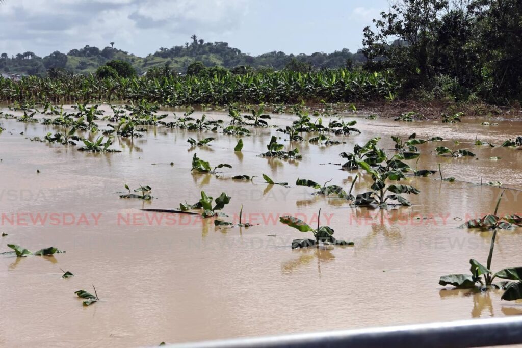 Heavy rains trigger landslides, cleanup continues