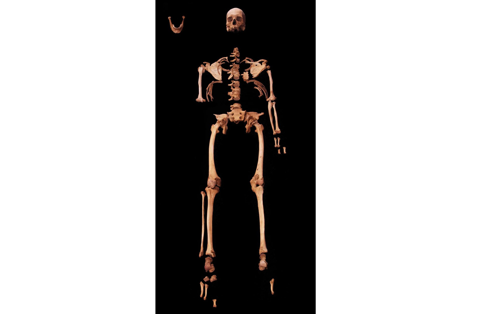 Ancient Egyptian history may be rewritten by DNA bone test