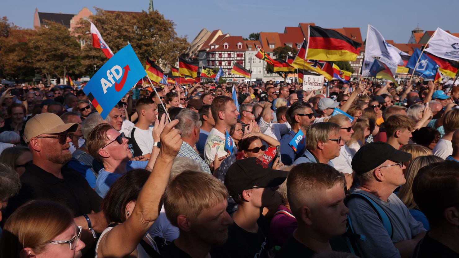 Calls are mounting to ban Germany’s far-right AfD party