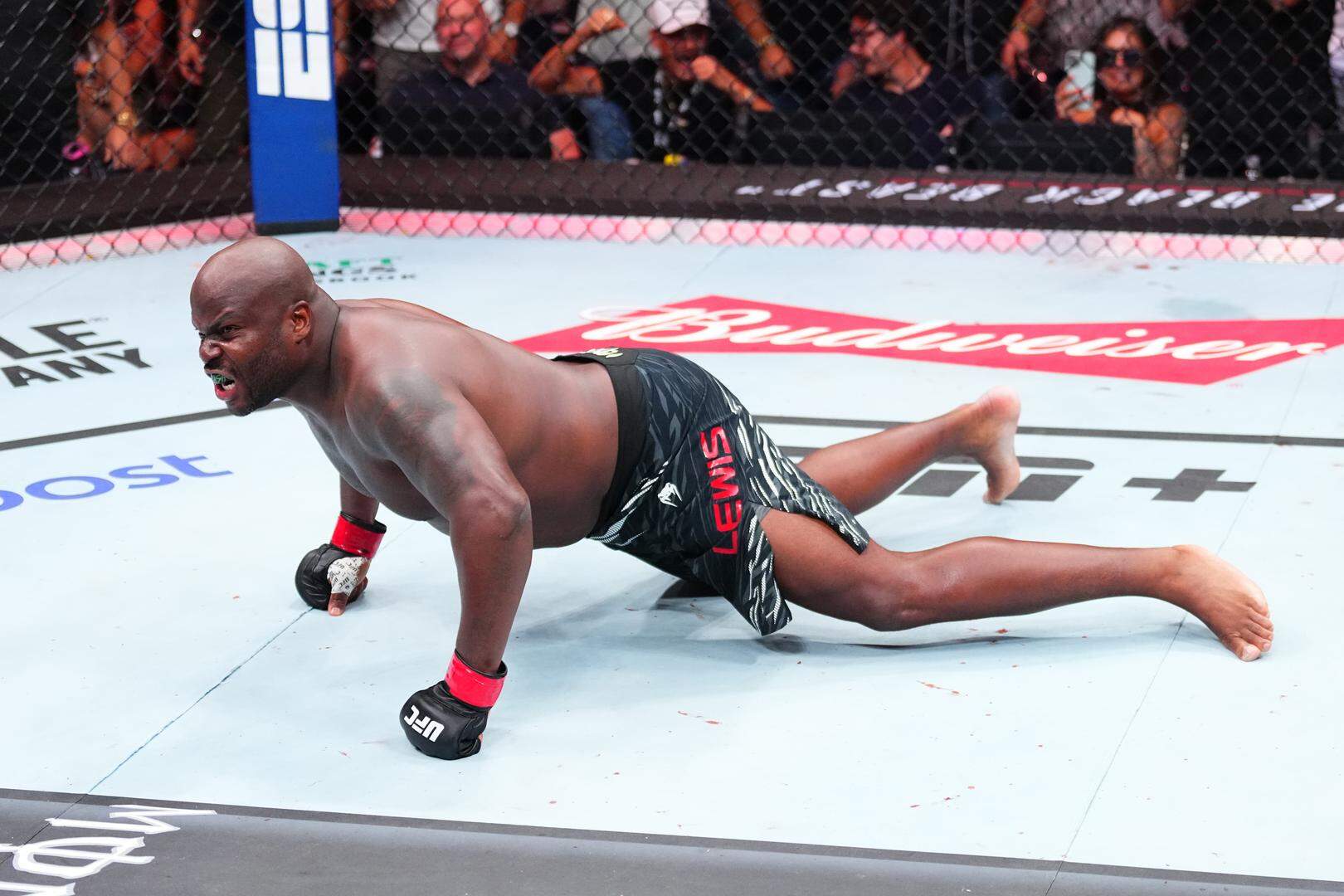 Lewis slaat Teixeira knock-out tijdens UFC Fight Night en viert dat als ...
