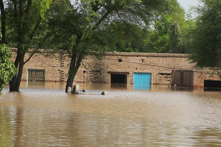 Millions displaced in severe Pakistan flooding as India impacted too