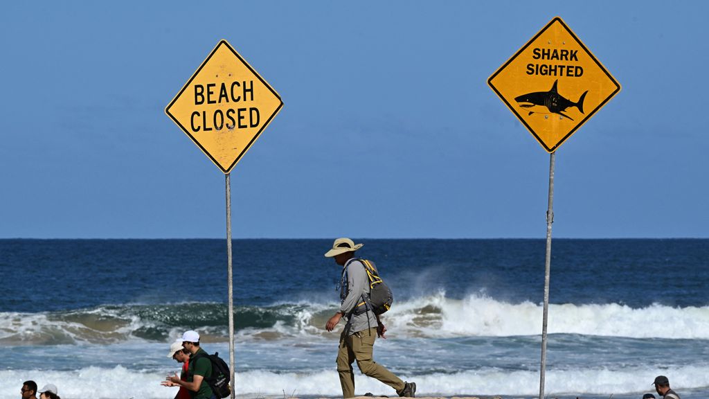 Jacht op grote haai bij Sydney na dodelijke aanval op surfer