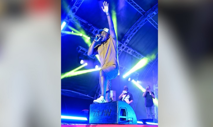 Wayne Marshall working on new album