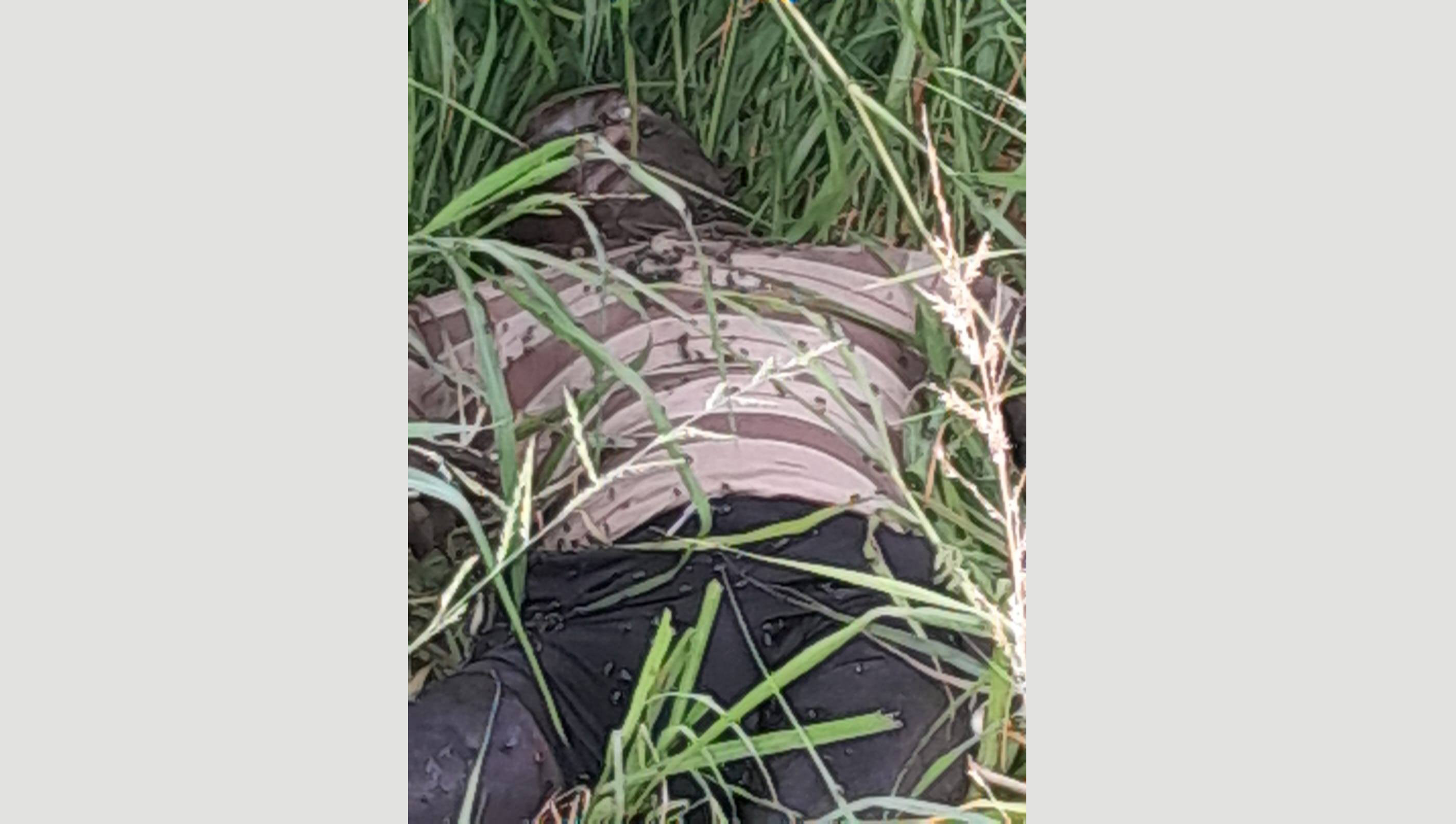 Missing Golden Grove man found dead near home