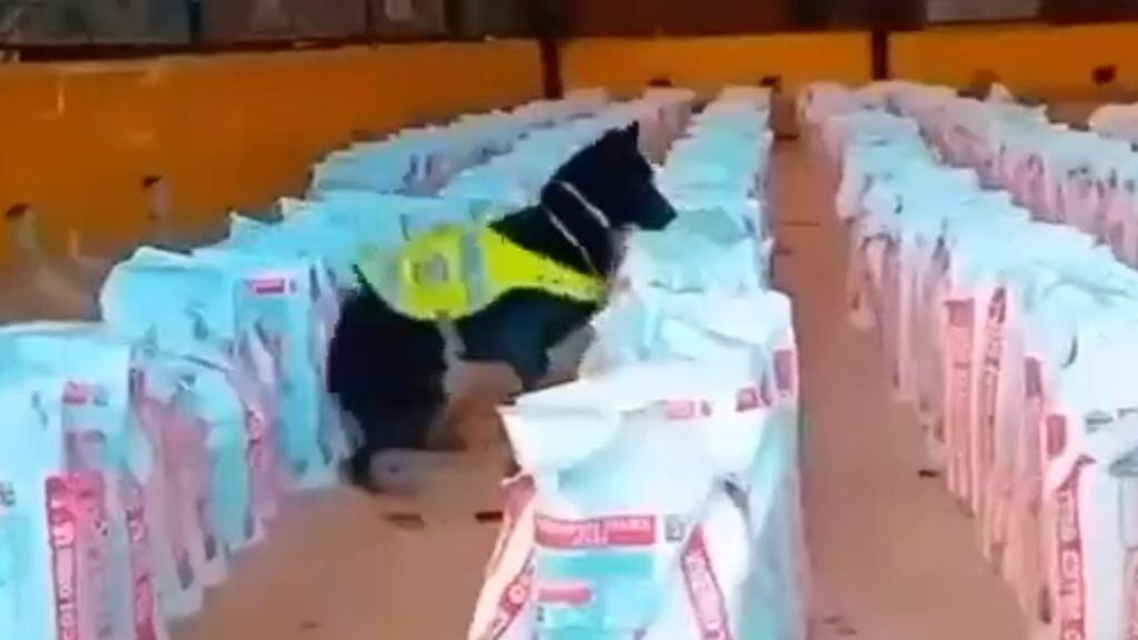 Colombia onderschept grote lading drugs bestemd voor Nederland