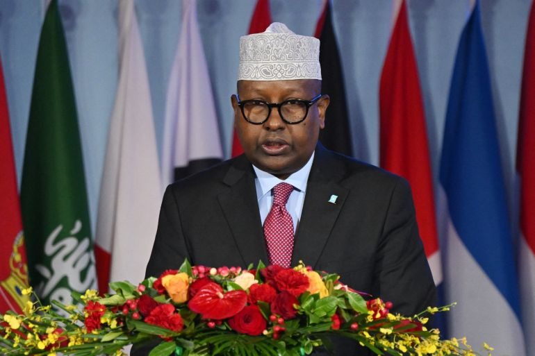 Somali minister says Israel plans to expel Gaza Palestinians to Somaliland
