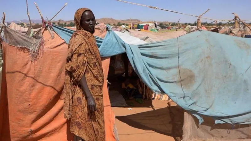 Sudan atrocities are 'hallmarks of genocide'
