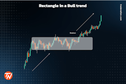 Top 14 Chart Patterns Traders Should Know - Trade Nation