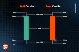Top 16 Candlestick Patterns Every Trader Should Know