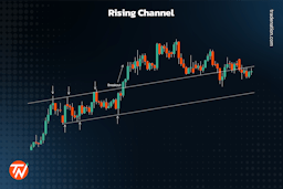 Top 14 Chart Patterns Traders Should Know - Trade Nation