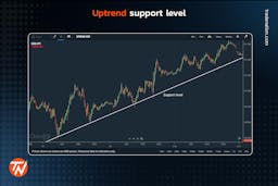 Support and Resistance Levels Explained – How To Use Them