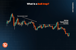 Bull Trap Trading and How to Avoid It - Trade Nation